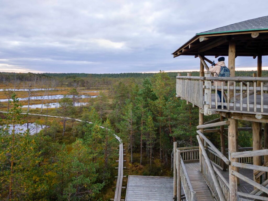 Viru raba: Looduskaunis matkarada Põhja-Eestis