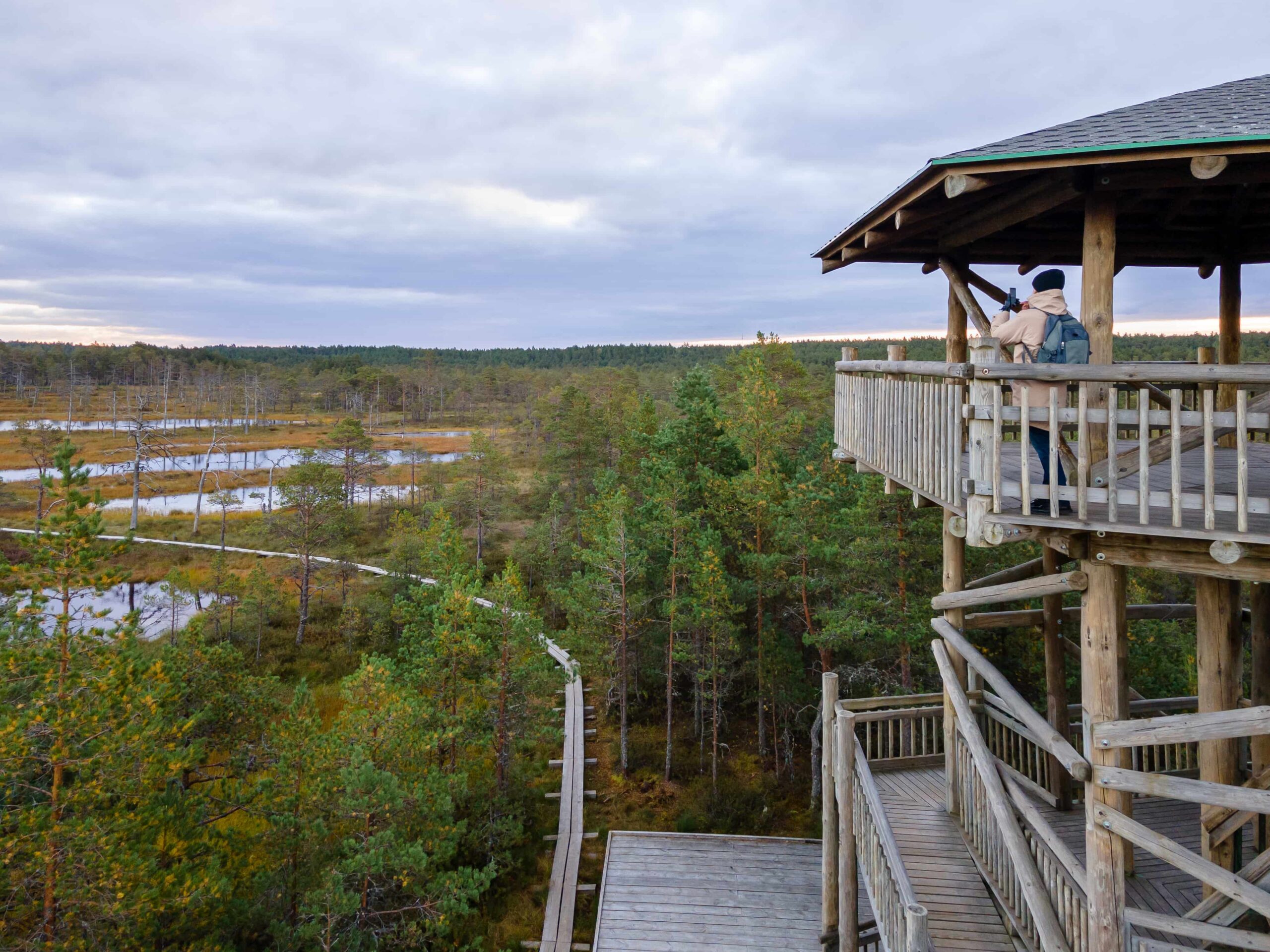 Viru raba: Looduskaunis matkarada Põhja-Eestis
